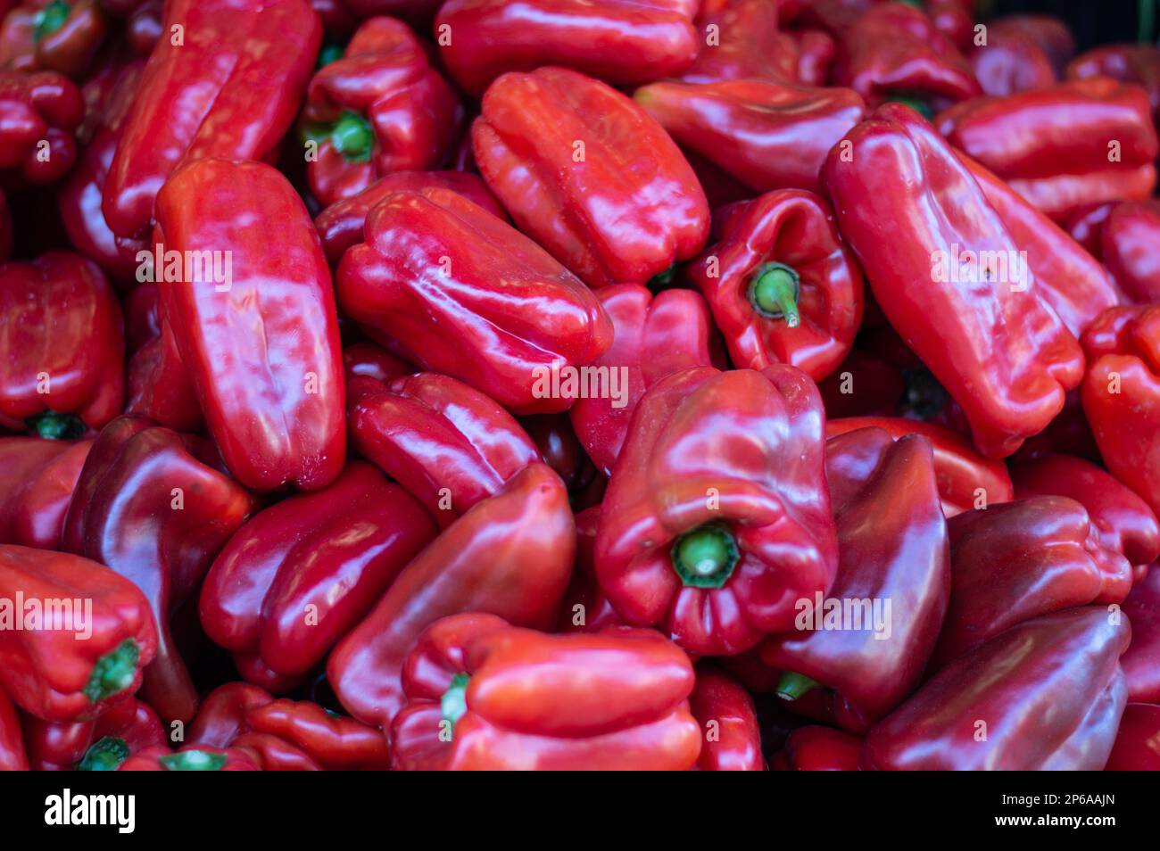 Bulk red peppers for sale in the market Stock Photo - Alamy