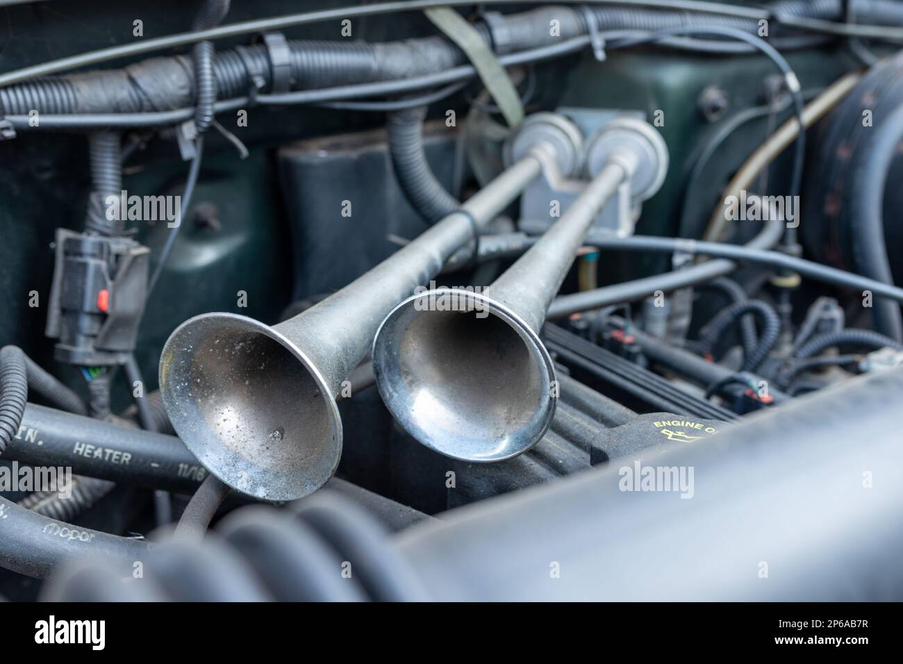Twin horn hi-res stock photography and images - Alamy