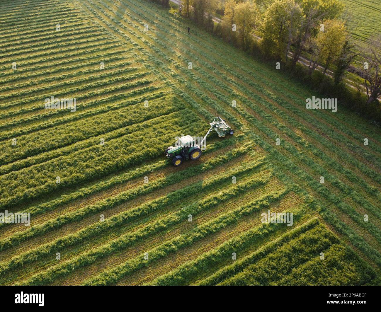 The beauty of agriculture seen from above: a tractor in action in a ...
