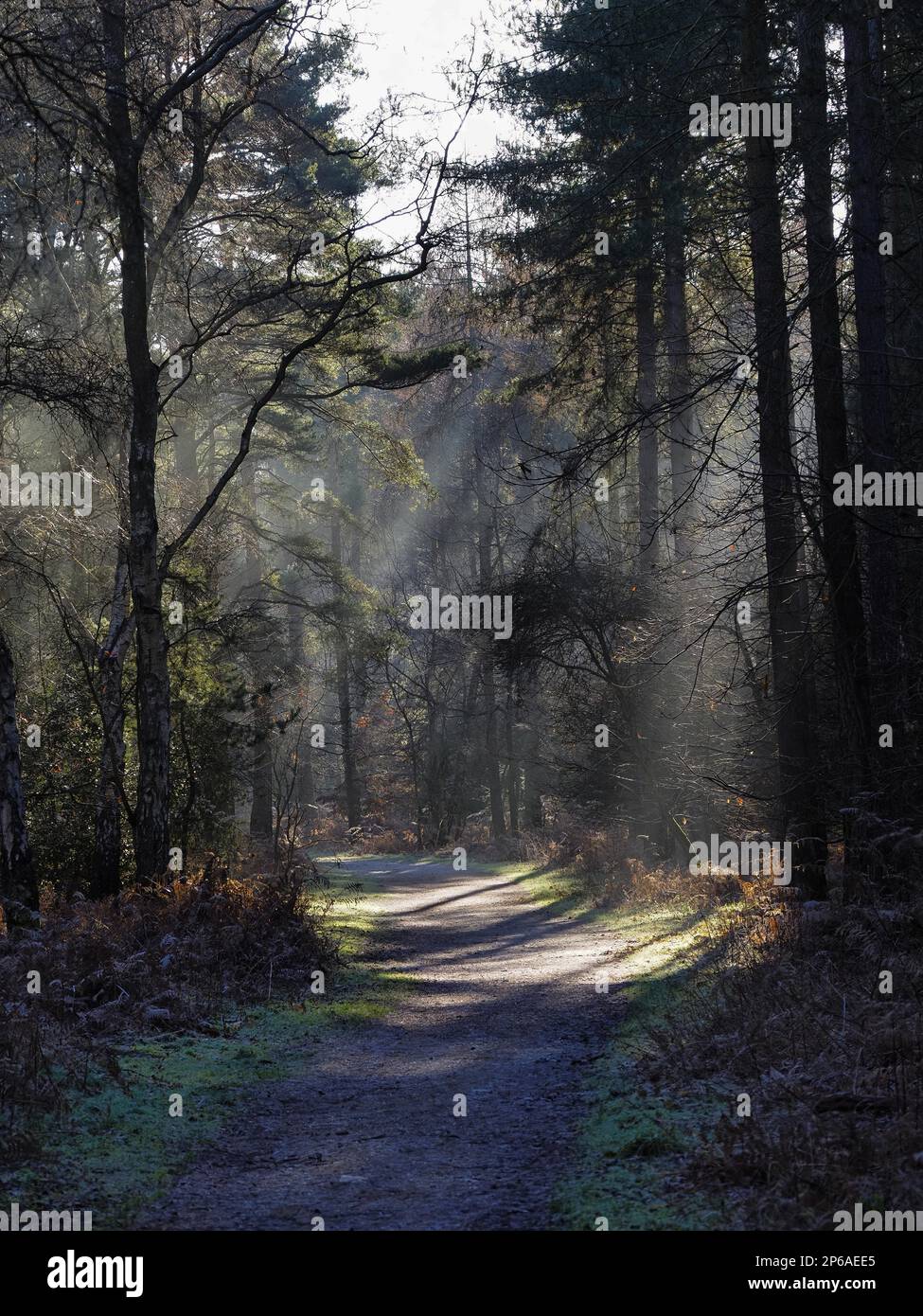 Sandringham estate hi-res stock photography and images - Alamy