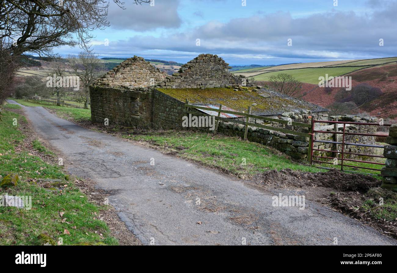 With derelict stone farm buildings, a February view east along ...