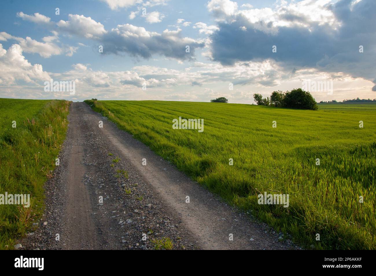 Summer fields in poland rural hi-res stock photography and images - Alamy