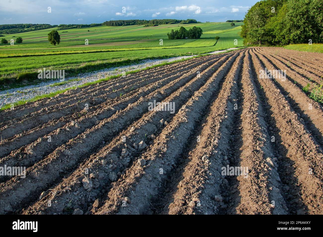 Cultivated upland fields hi-res stock photography and images - Alamy