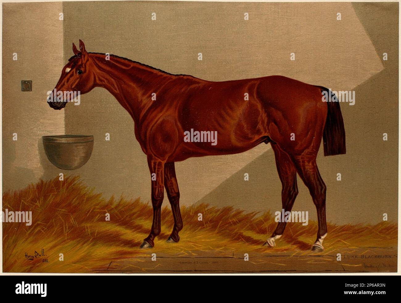 After Henry Stull, "Luke Blackburn", 1881, chromolithograph on paper ...