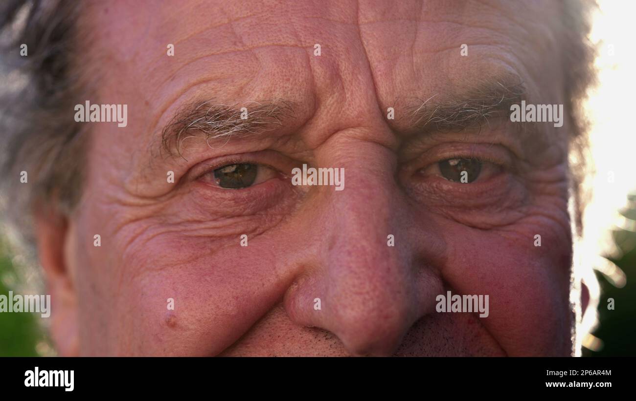 Macro close up of a happy wise wrinkled senior man eyes looks at camera ...