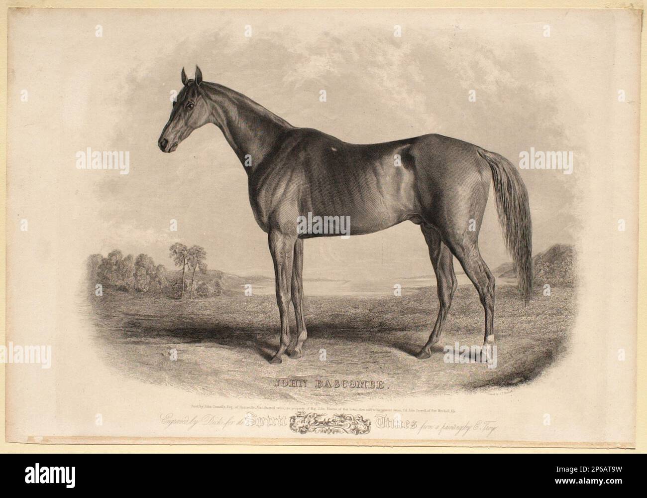 John bascombe hi-res stock photography and images - Alamy