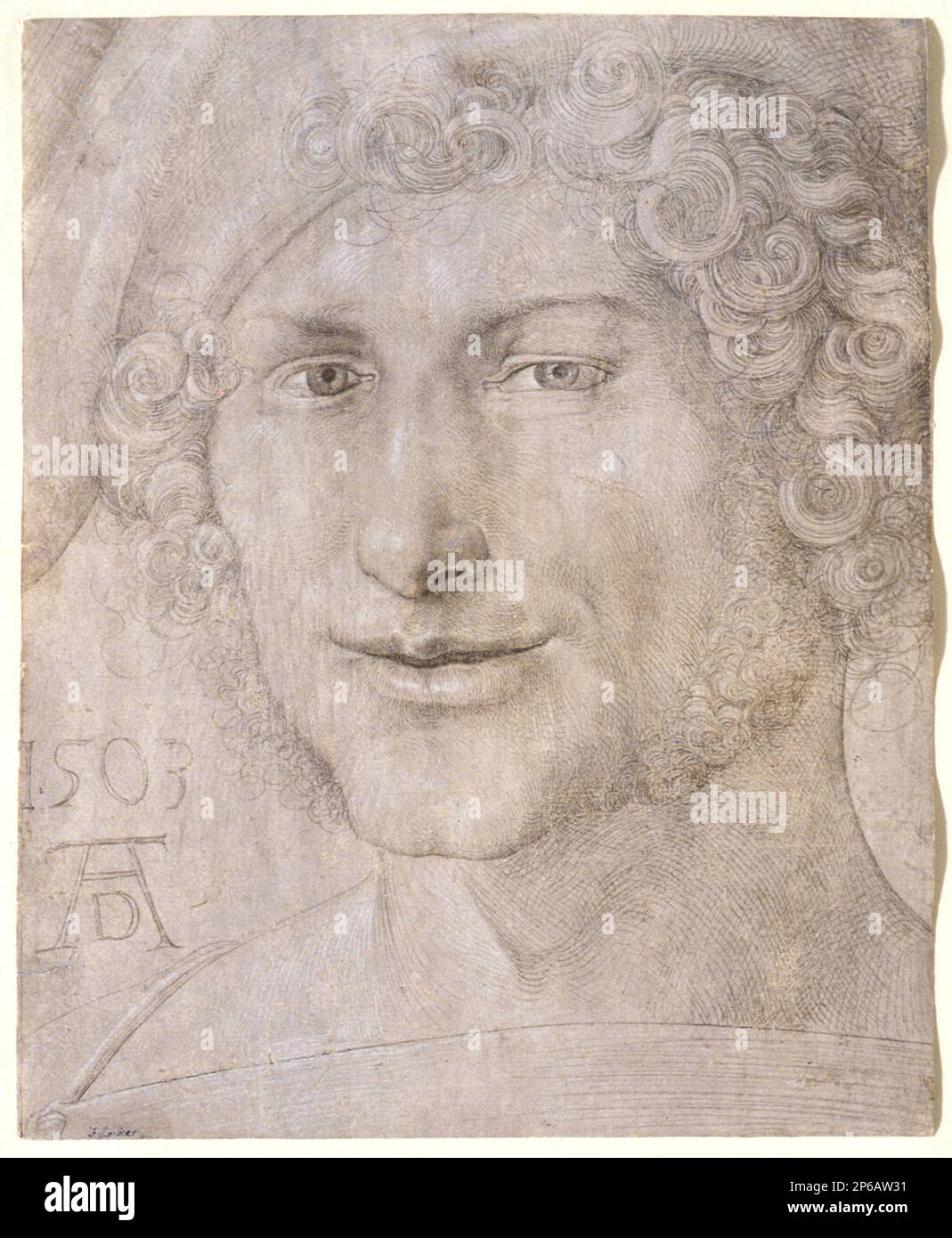 Albrecht Dürer, Head of a Young Man, 1503, metalpoint and pen and brown ...
