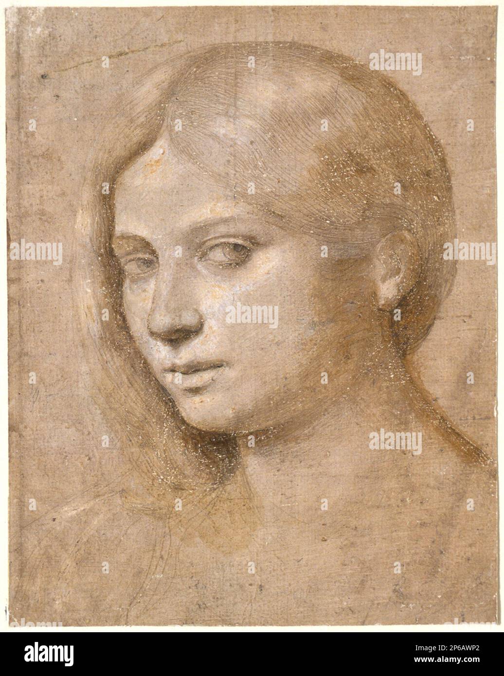 Unknown, Head of a Girl, 16th century, metalpoint and light brown wash ...