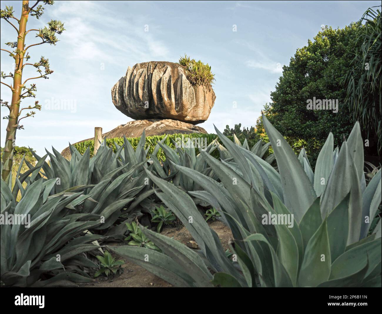 Stone and vegetation hi-res stock photography and images - Alamy