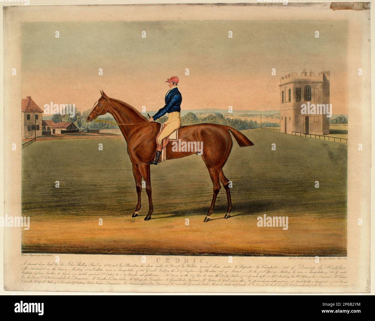 James Pollard, "Cedric", 1824, aquatint on paper Stock Photo - Alamy