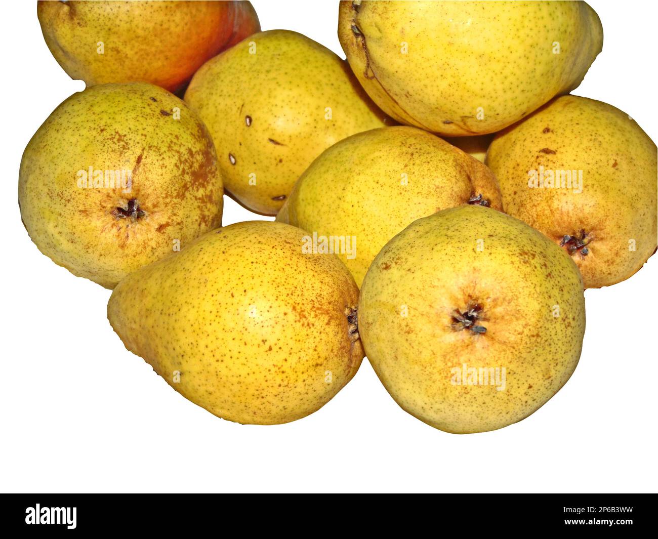 group of pears isolated on white background Stock Photo - Alamy