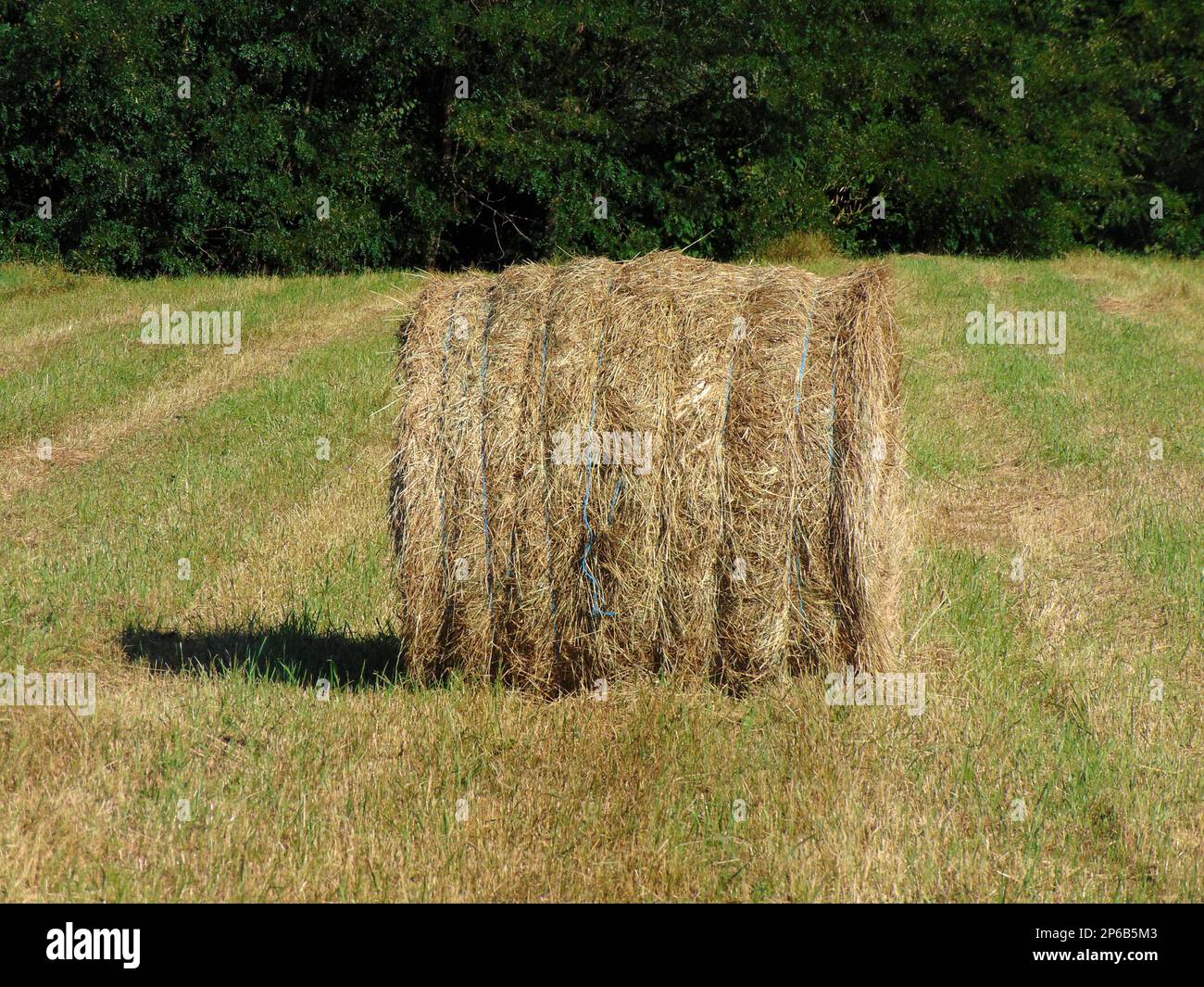 Bale photos hi-res stock photography and images - Alamy
