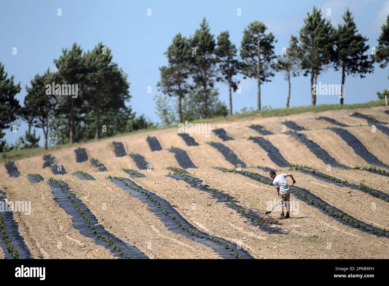 Sam Comstock reburies irrigation lines washed out from recent rains in ...