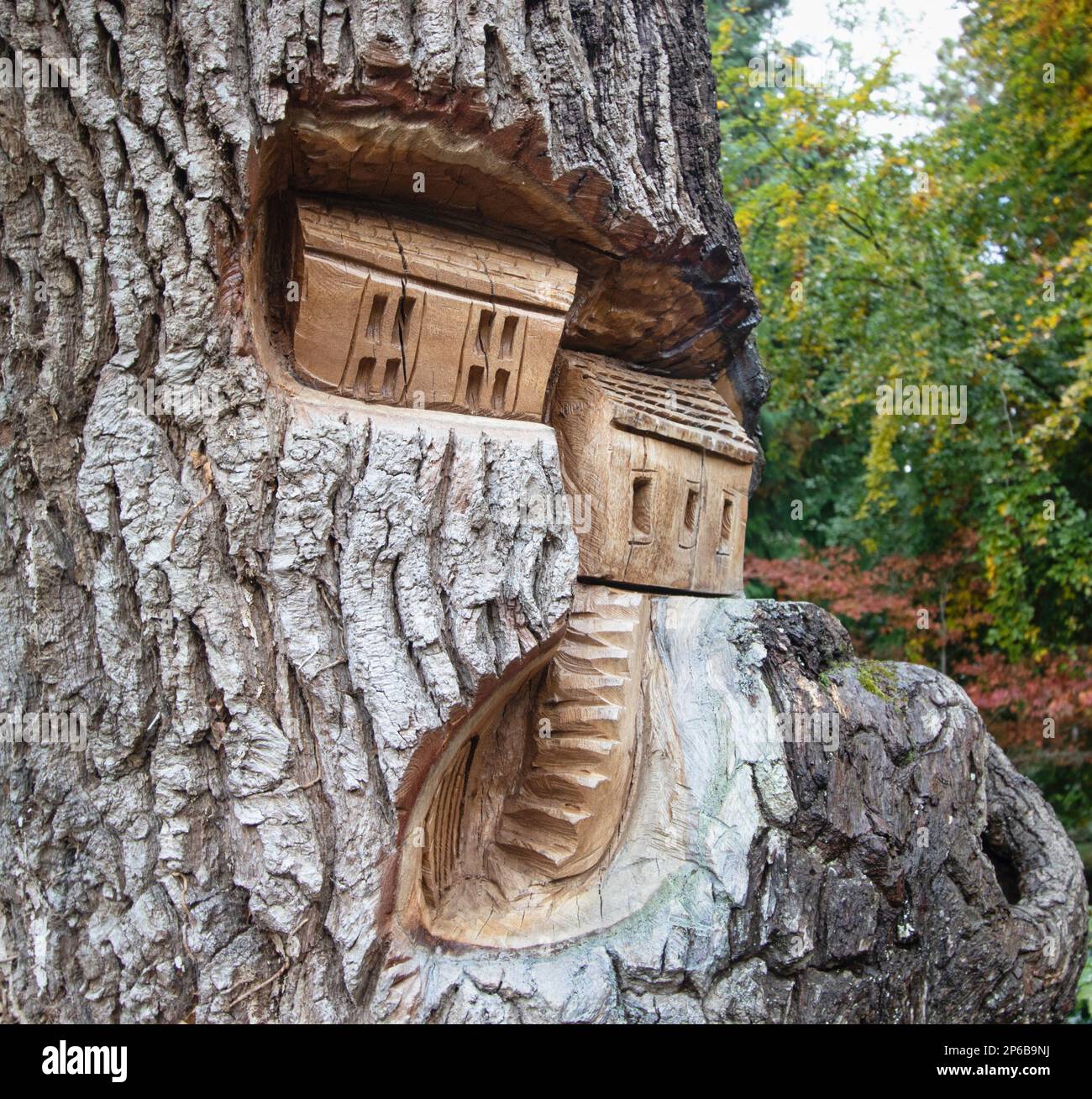 Two little tree houses in North Yorkshire England Stock Photo - Alamy