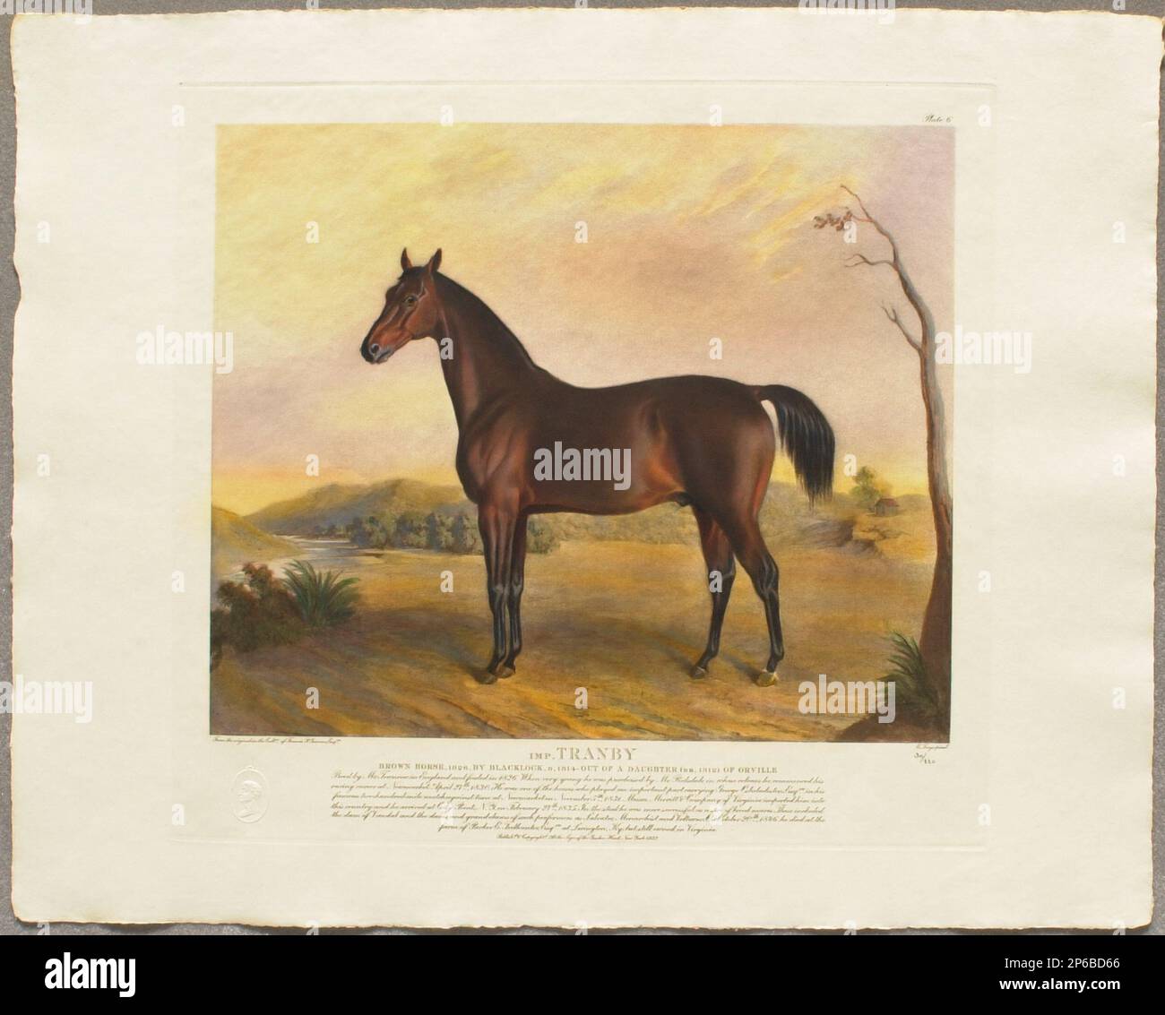 Tranby hi-res stock photography and images - Alamy