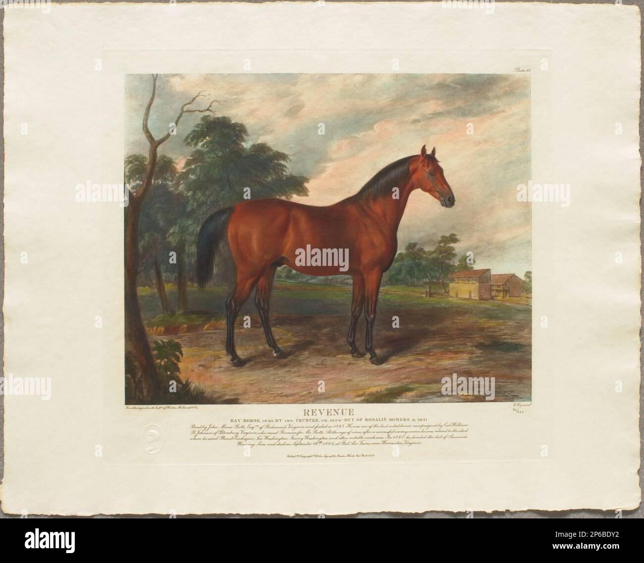The Gosden Head, Revenue, 1932, mezzotint on paper Stock Photo - Alamy