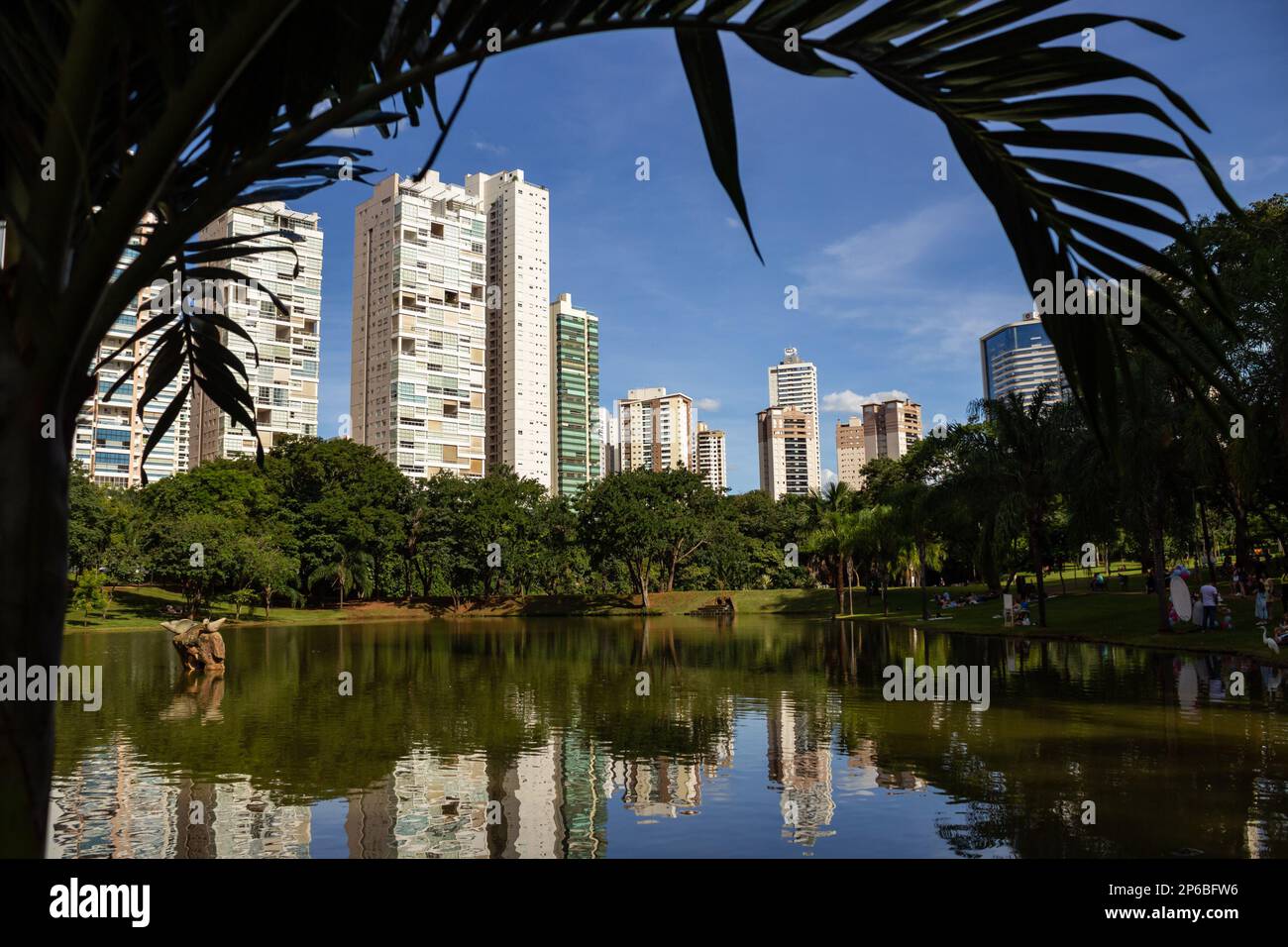 Goiania, Goias, Brazil – March 04, 2023: A coconut leaf framing the ...