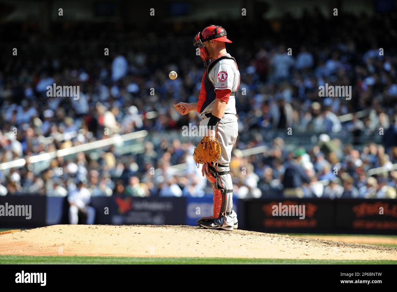 Los Angeles Angels catcher Chris Iannetta (17) during Opening Day game ...