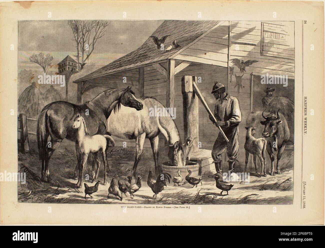 Edwin forbes hi-res stock photography and images - Alamy