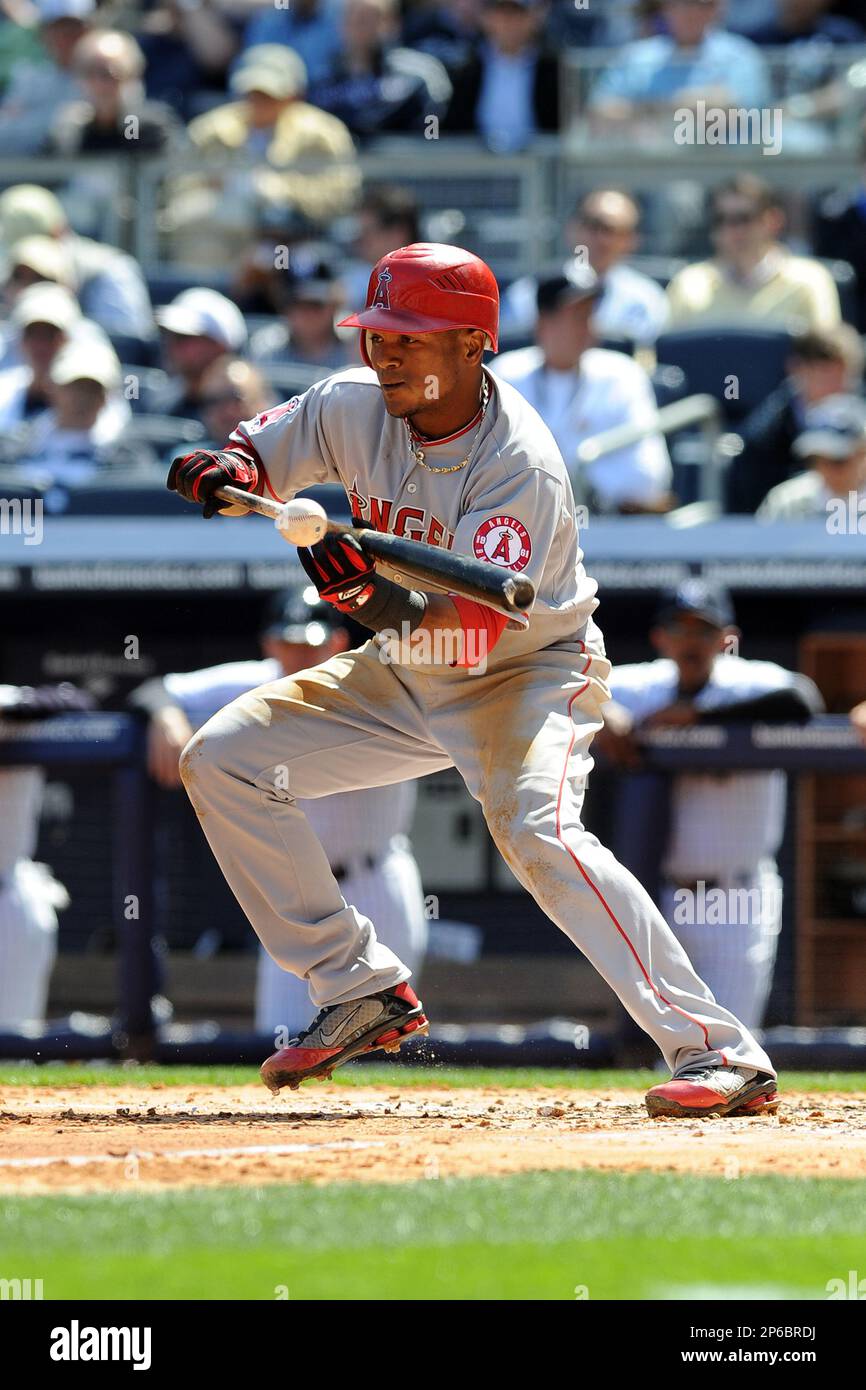 Los Angeles Angels infielder Erick Aybar (2) during Opening Day game ...