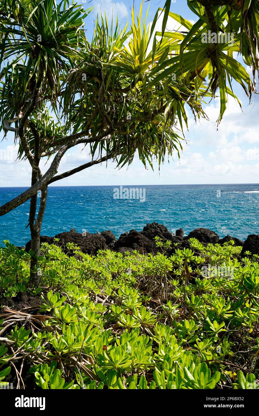 Remote Hawaii state parks for solitude - State Parks