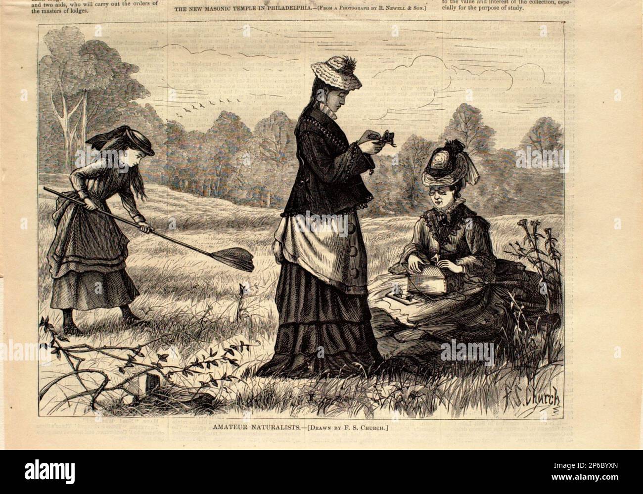 Frederick Stuart Church, Amateur Naturalists, 1873, wood engraving on ...