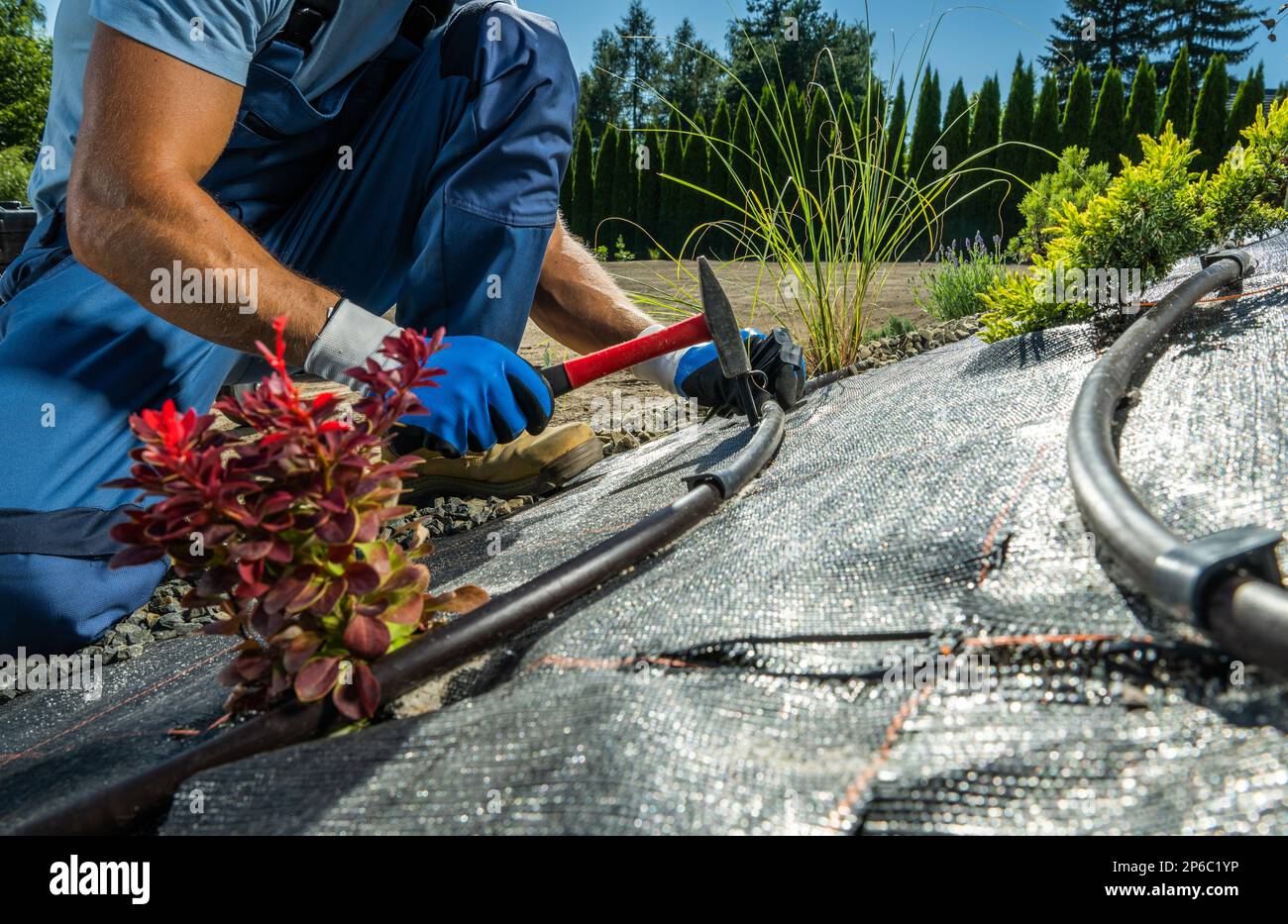 Trickle drip irrigation hi-res stock photography and images - Alamy