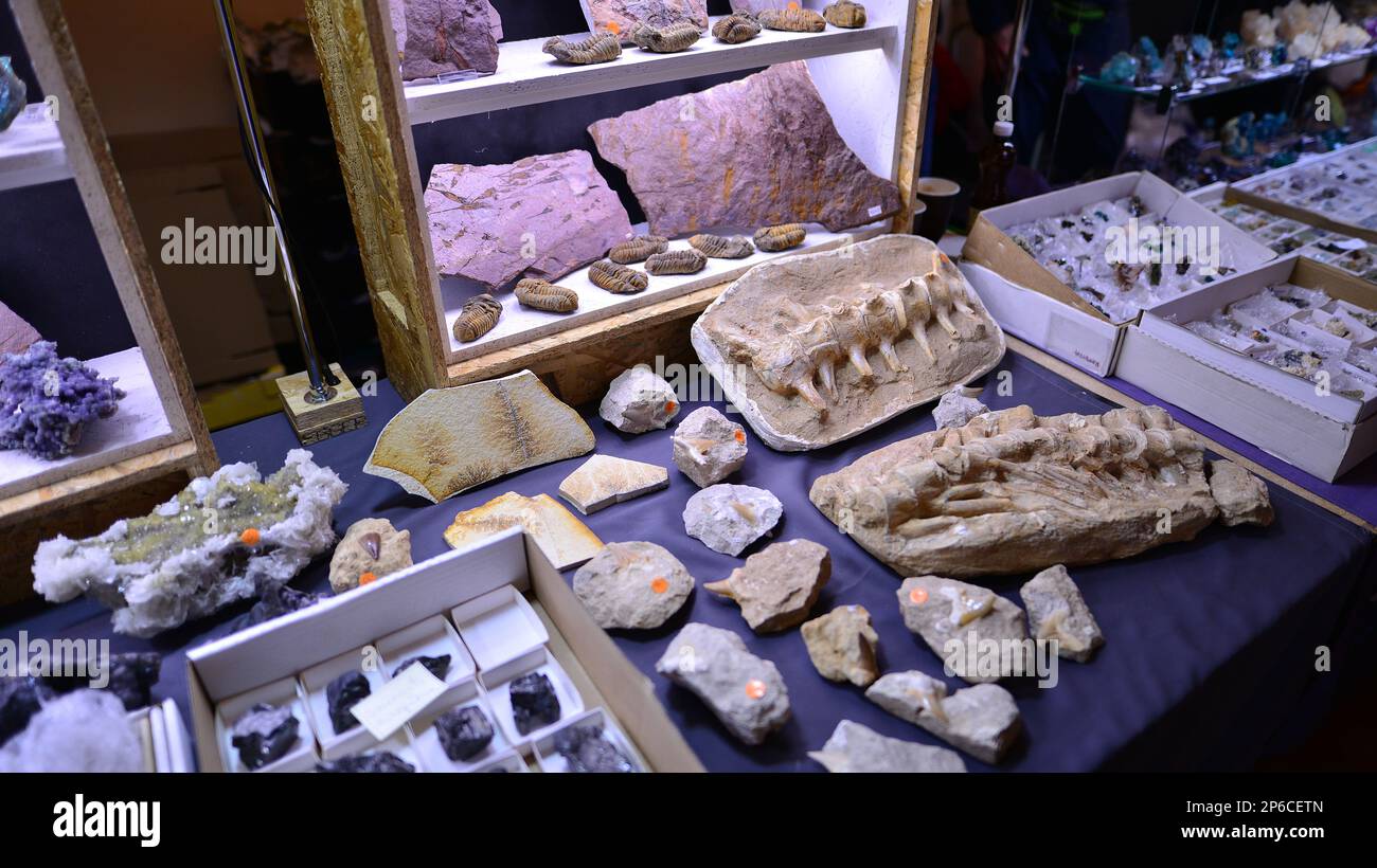 Warsaw, Poland. 5 March 2023. Warsaw Mineral Expo 2023. Colored stones ...