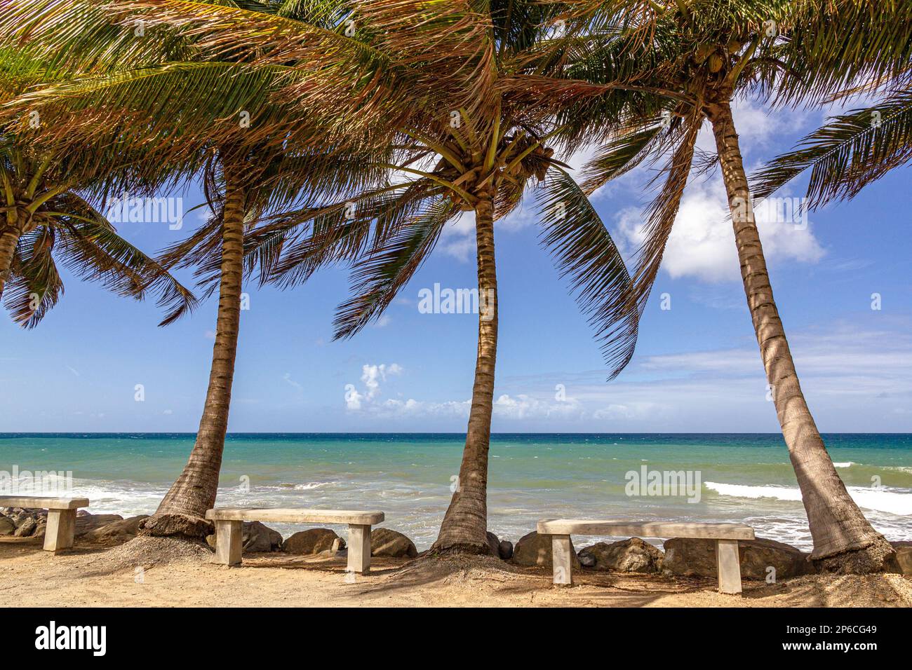 Benches in front of ocean hi-res stock photography and images - Alamy