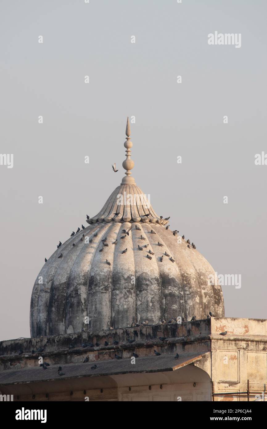 Domb hi-res stock photography and images - Alamy