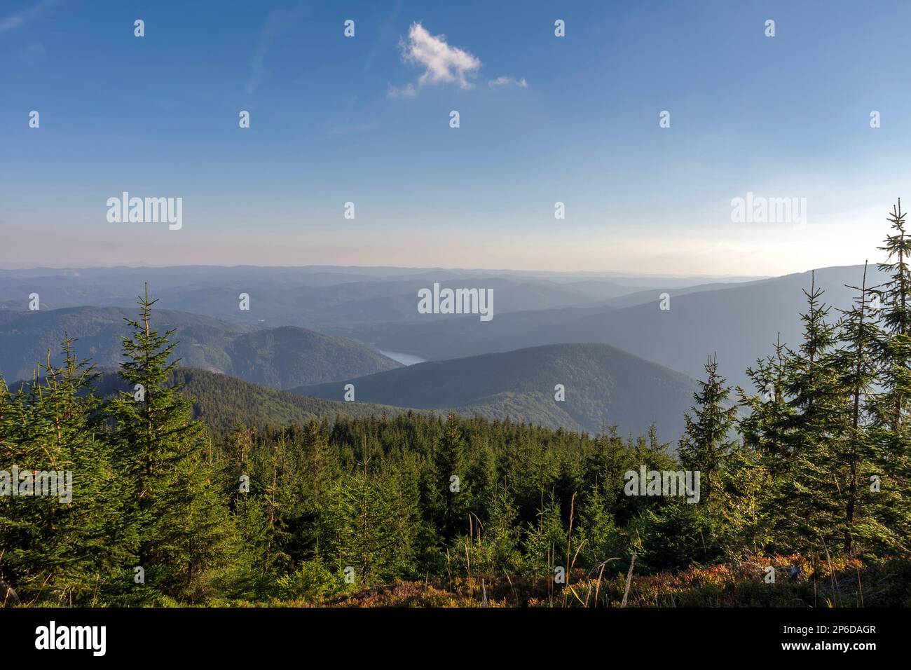 Sance dam, water reservoir and dam in Beskid mountains. Czech Republic ...