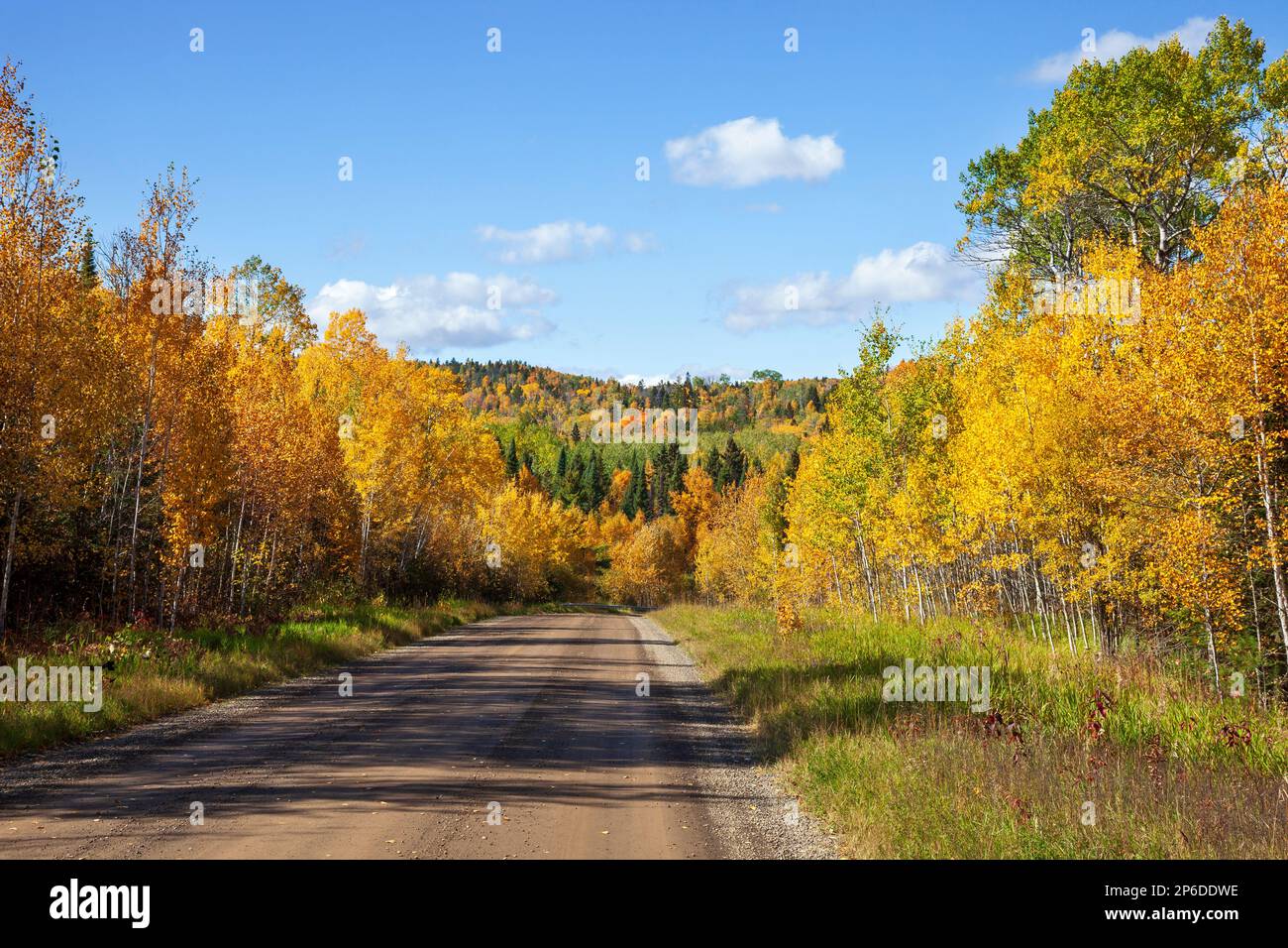 Dirt road below hills and trees in fallcolor in northern Minnesota on a ...