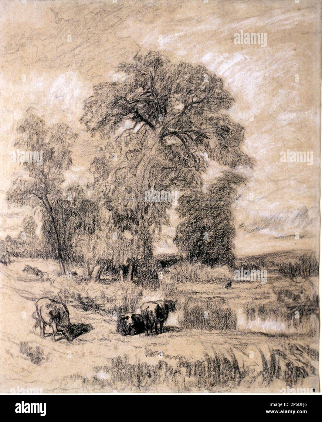 Jules Dupré, The Brook, c. 1845, black and white chalk on buff paper ...