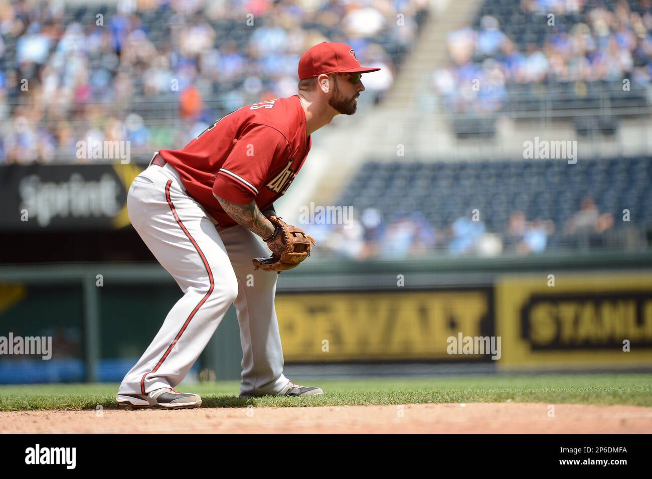 Arizona Diamondbacks Ryan Roberts gets set on defense against the ...