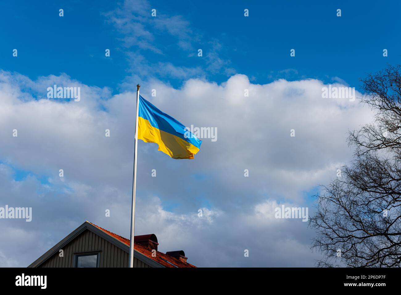 Blue flag european union proudly hi-res stock photography and images ...