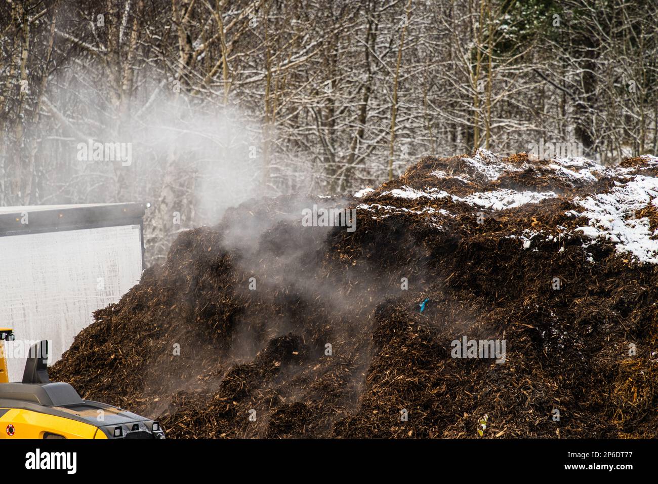 Big pile of wood chips steaming Stock Photo - Alamy