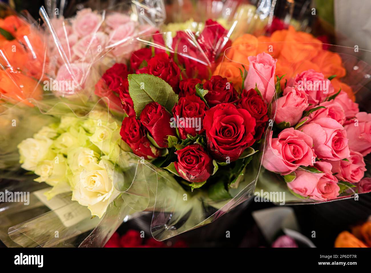White rose shopping mall hi-res stock photography and images - Alamy