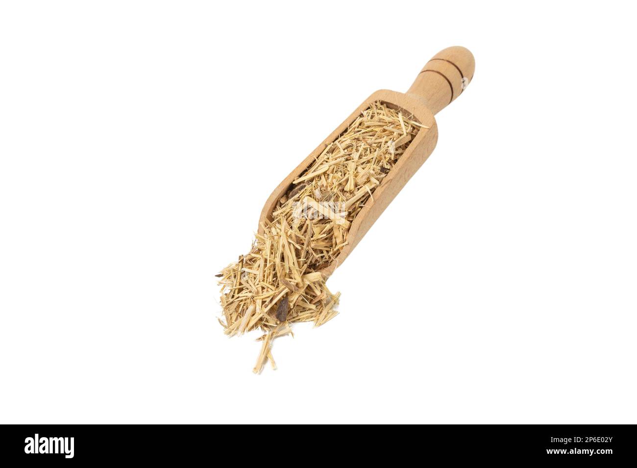 siberian ginseng in latin Eleutherococcus senticosus in wooden scoop ...