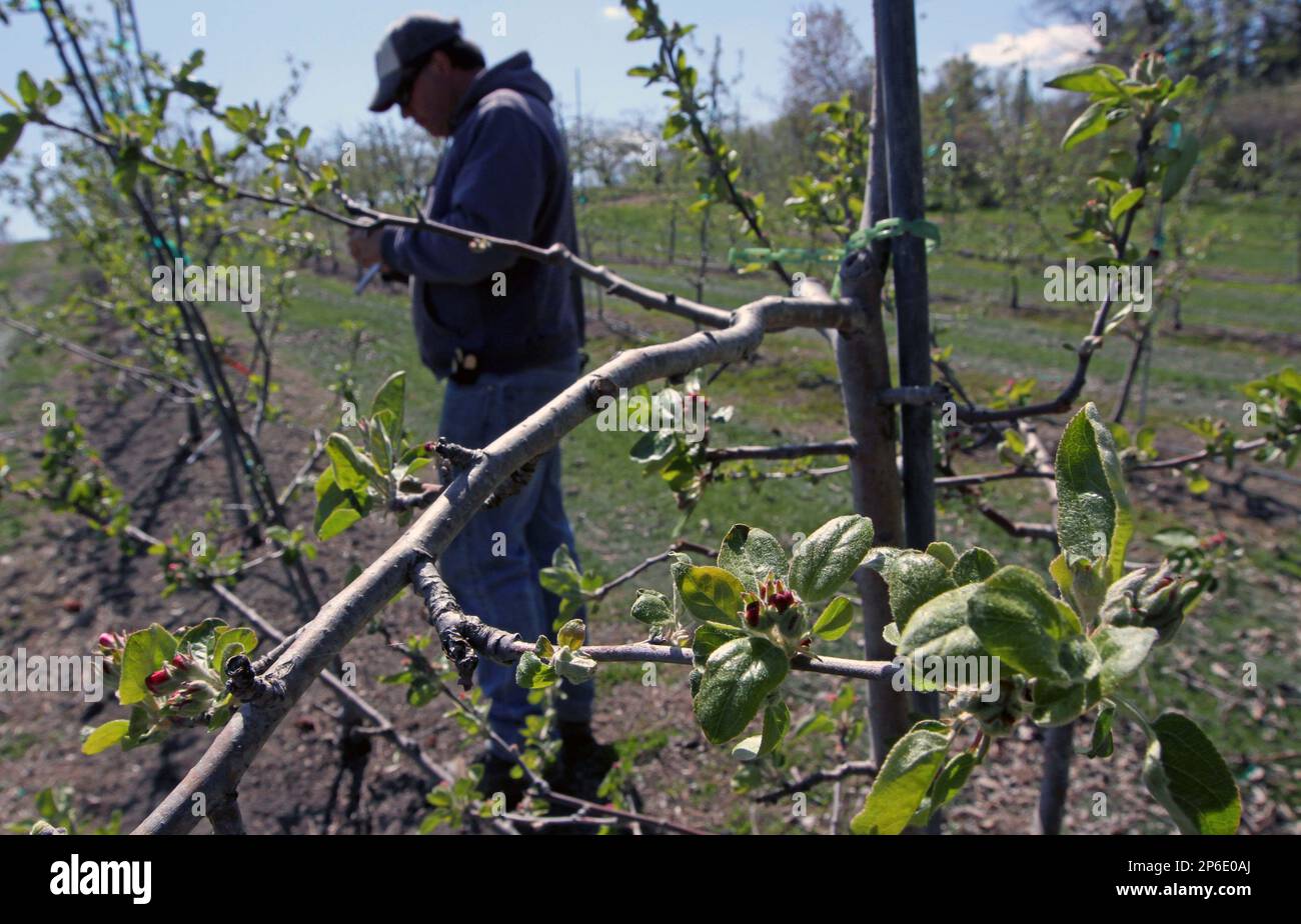 FILE - In this April 10, 2012 file photo, Craig Schaper, son of Lowell ...