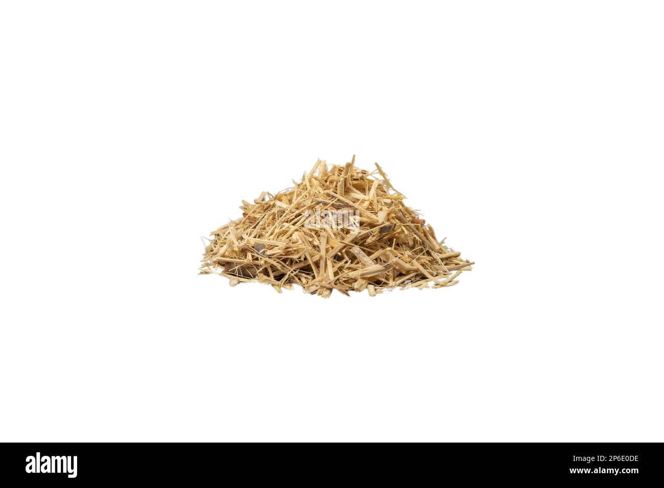 siberian ginseng in latin Eleutherococcus senticosus heap isolated on ...