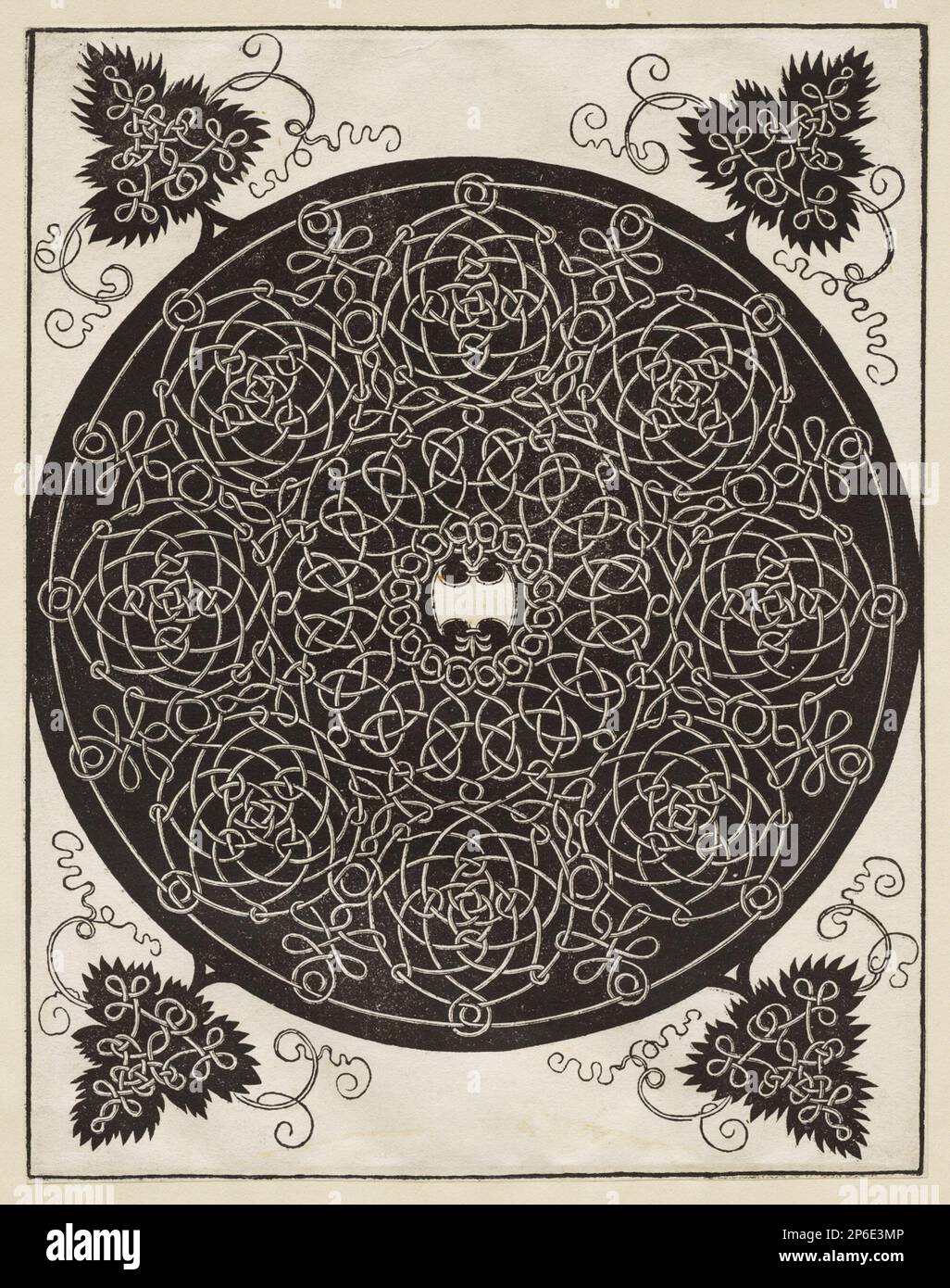 Albrecht Dürer, Fifth Knot, with a white shield with six points in the ...