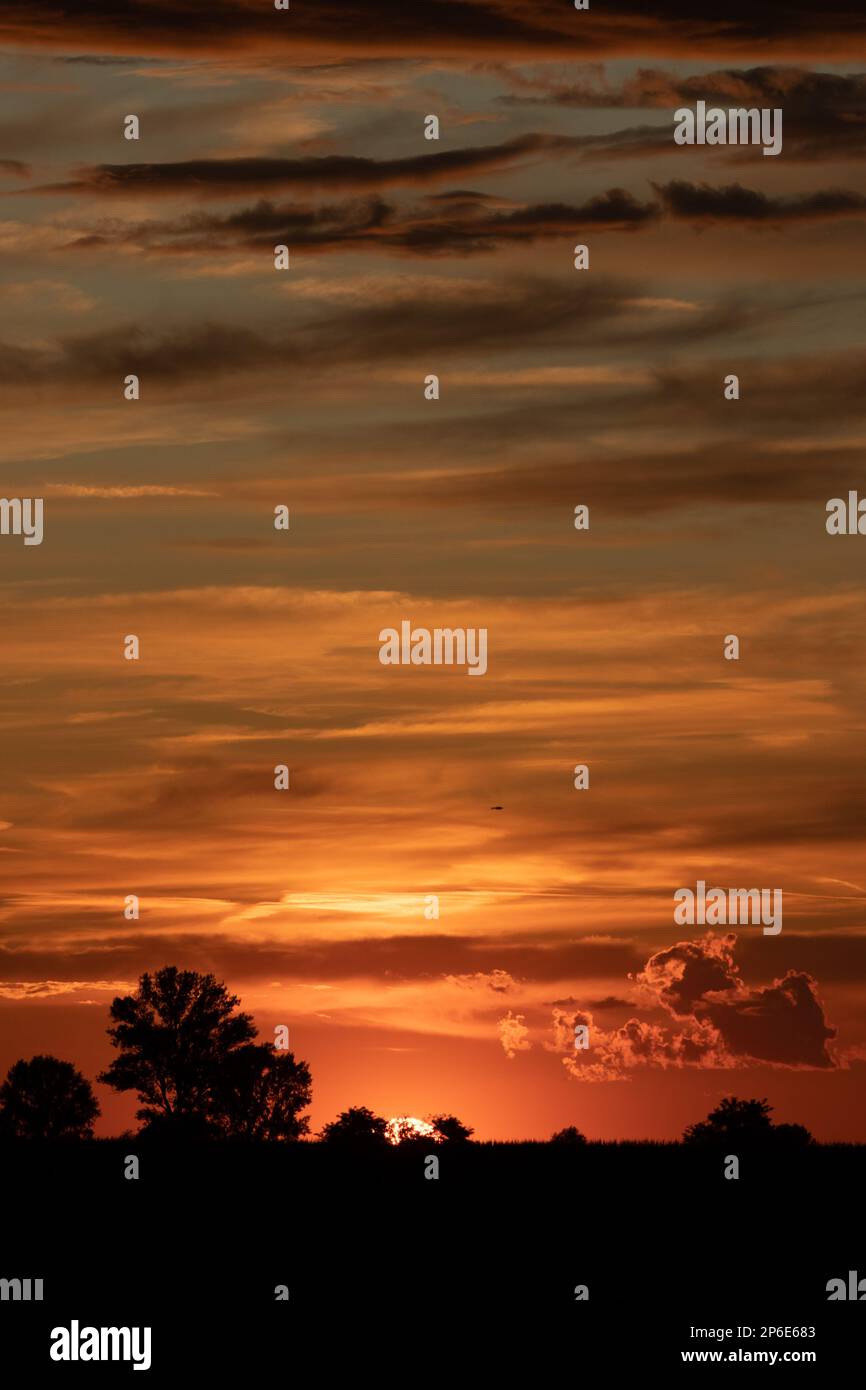 Vibrant orange sunset sky over rural field scene Stock Photo - Alamy