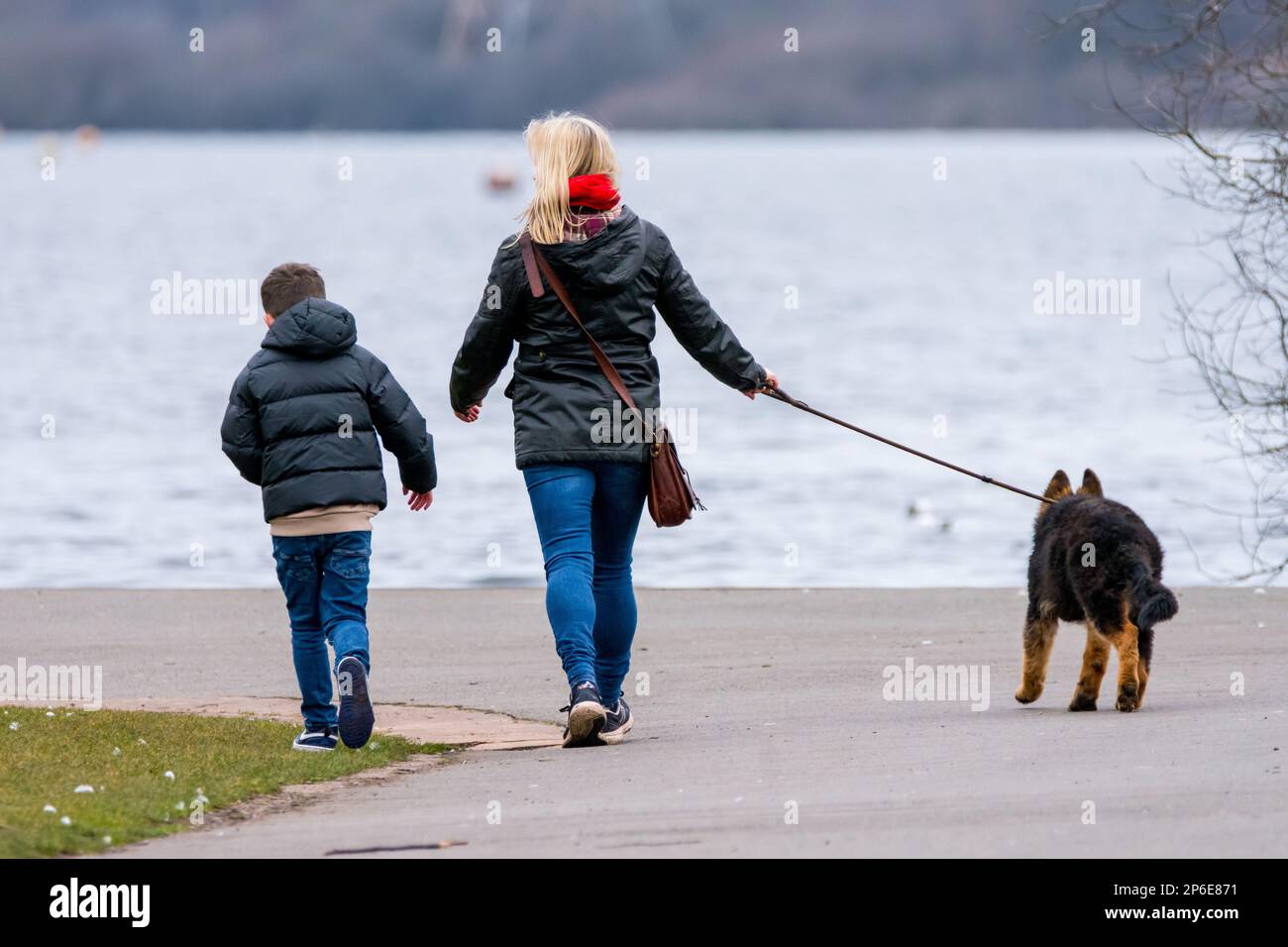 A mother walking with her child and puppy german shepherd dog Stock ...