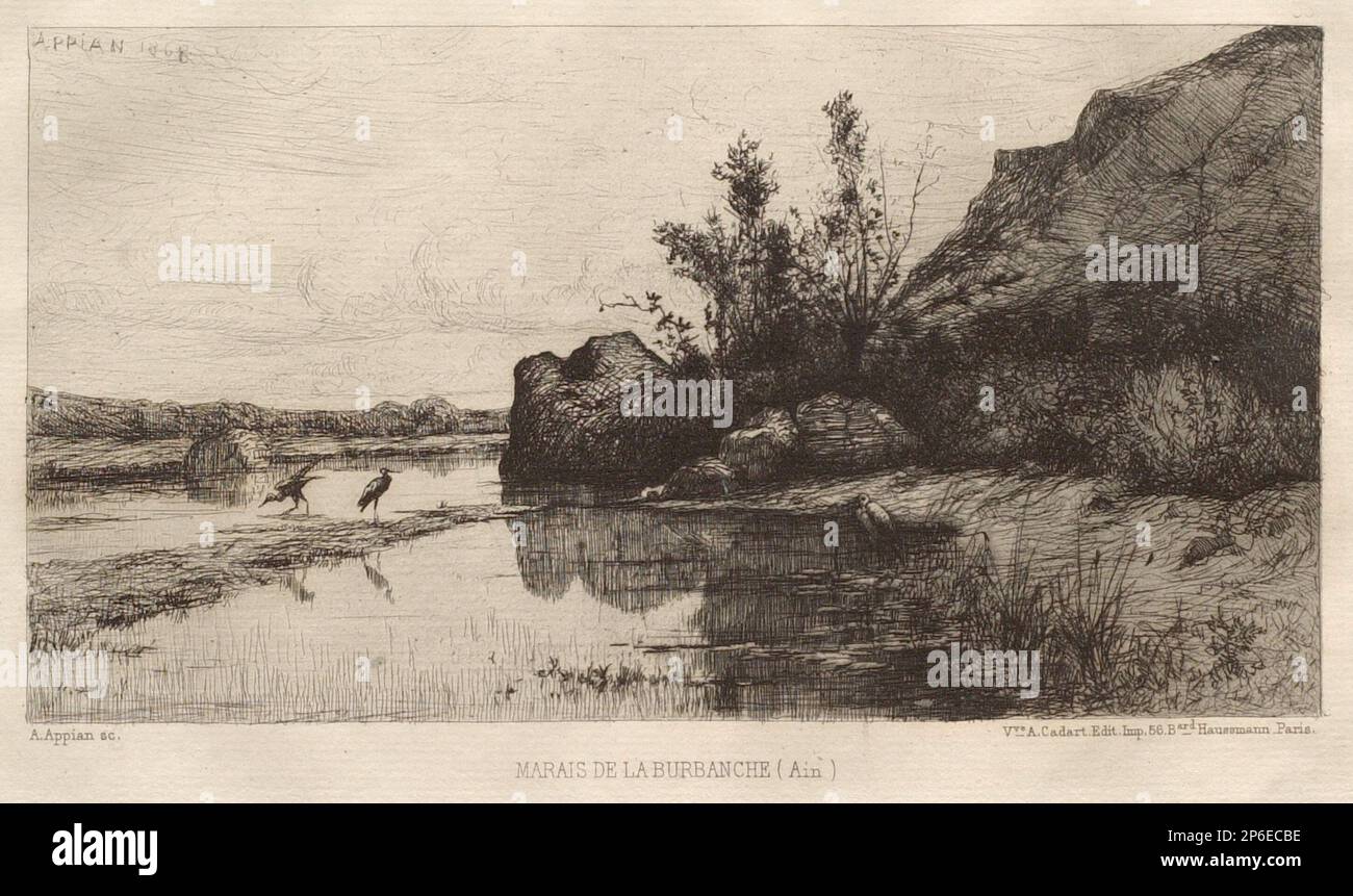 Adolphe Appian, Marais de la Burbanche, Ain, 1868, etching on paper ...