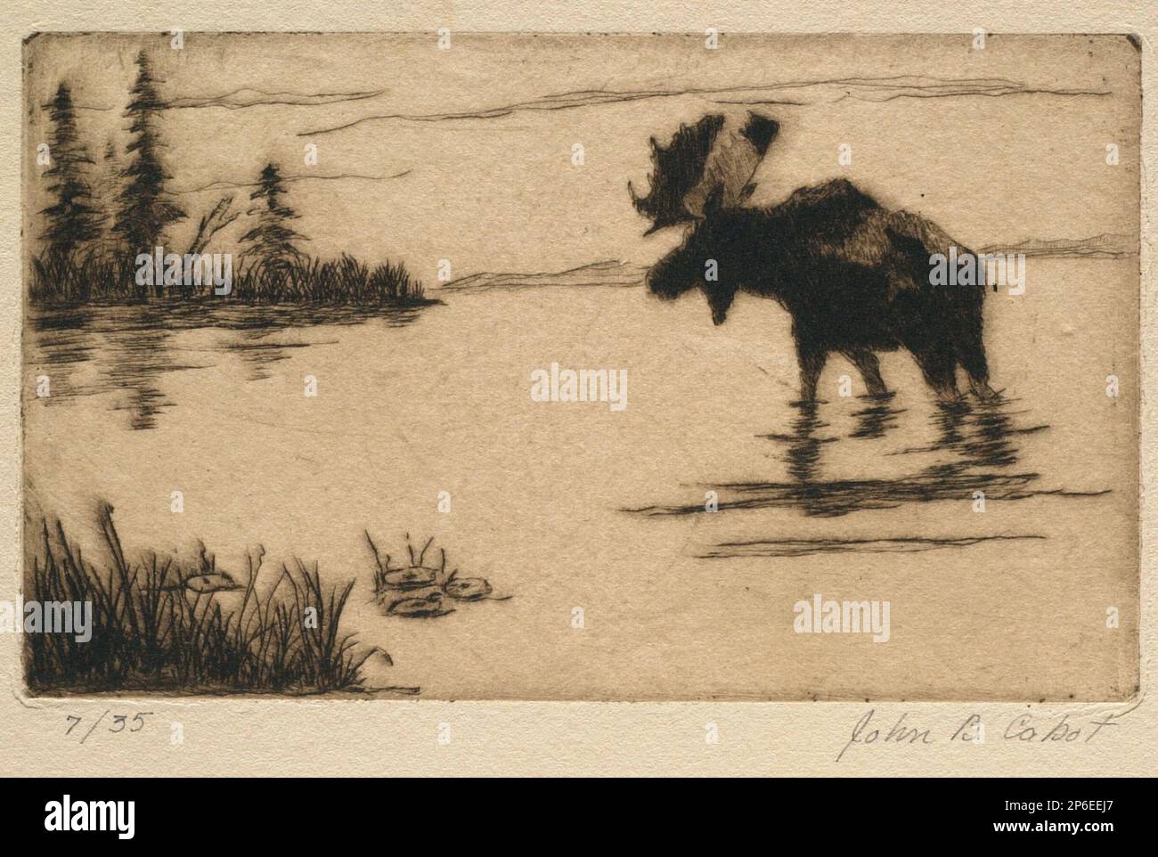 John B. Cabot, Moose, 1900–1959, etching on paper Stock Photo - Alamy