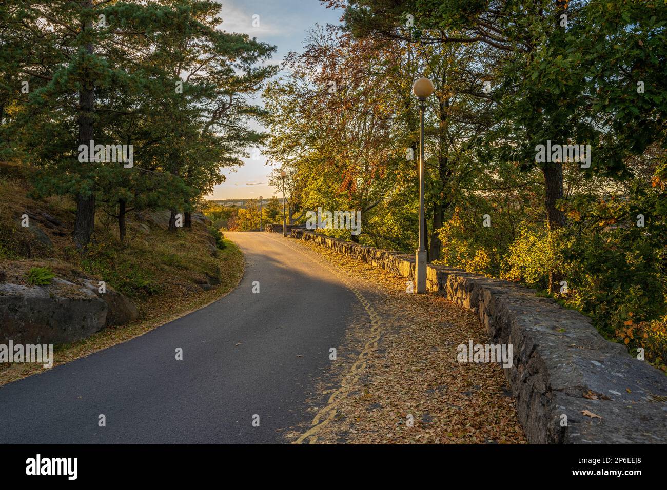 Turn of a narrow road in late evening sunlight Stock Photo - Alamy