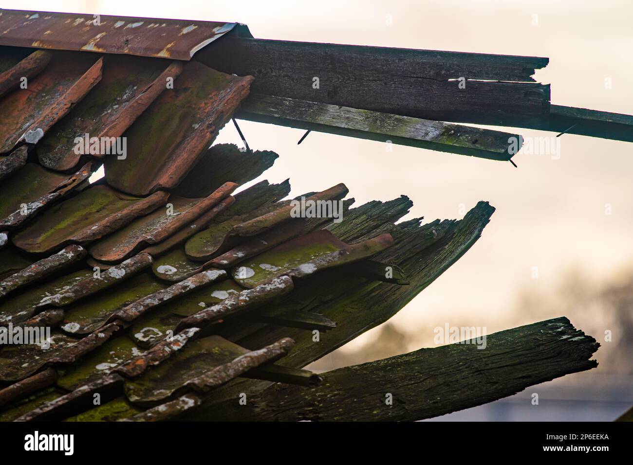 Old broken roof of an abandoned barn Stock Photo - Alamy