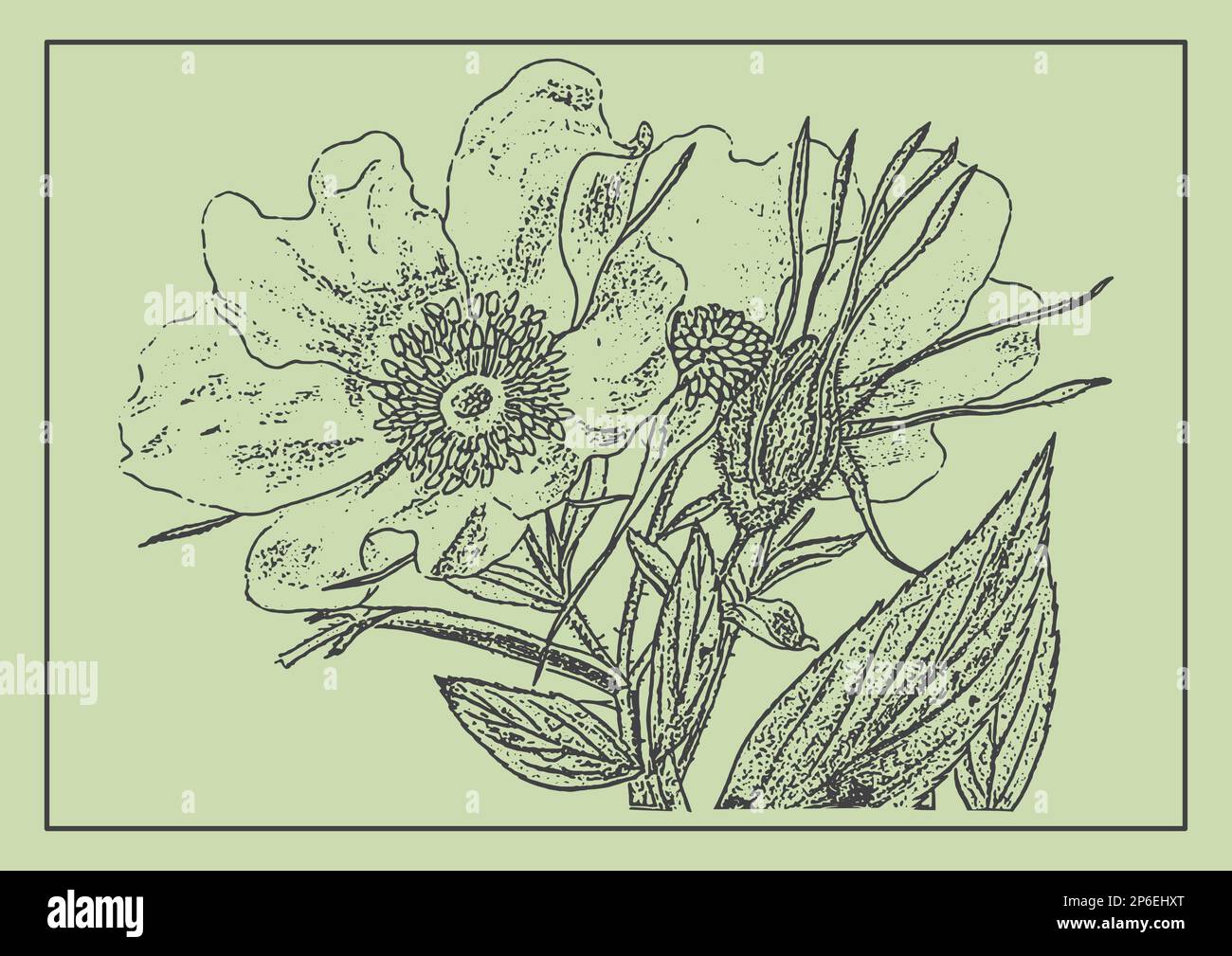 Paper art style rose Stock Vector Images - Alamy