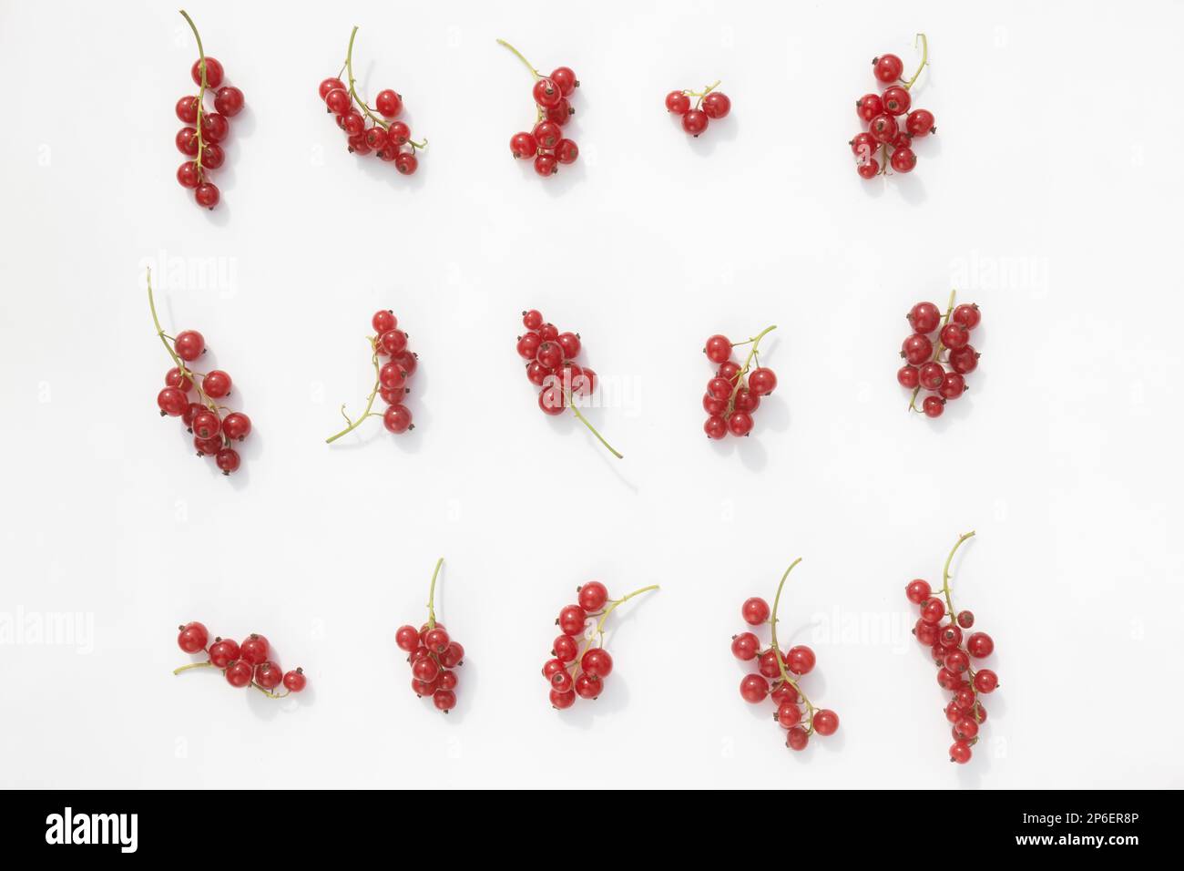 red berries, top view on a white background Stock Photo - Alamy