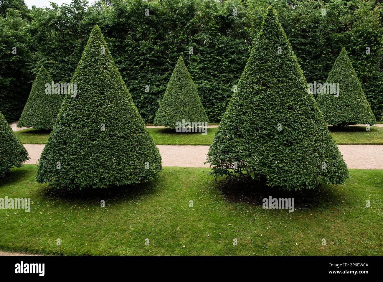 Round green bushes in a park cut in a triangle shape Stock Photo - Alamy